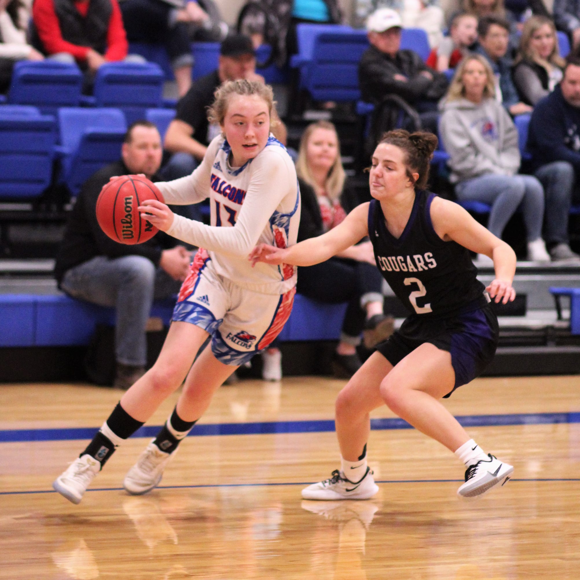 Mile High Prep Report Class 1A Girls Basketball End of the Year Awards ...